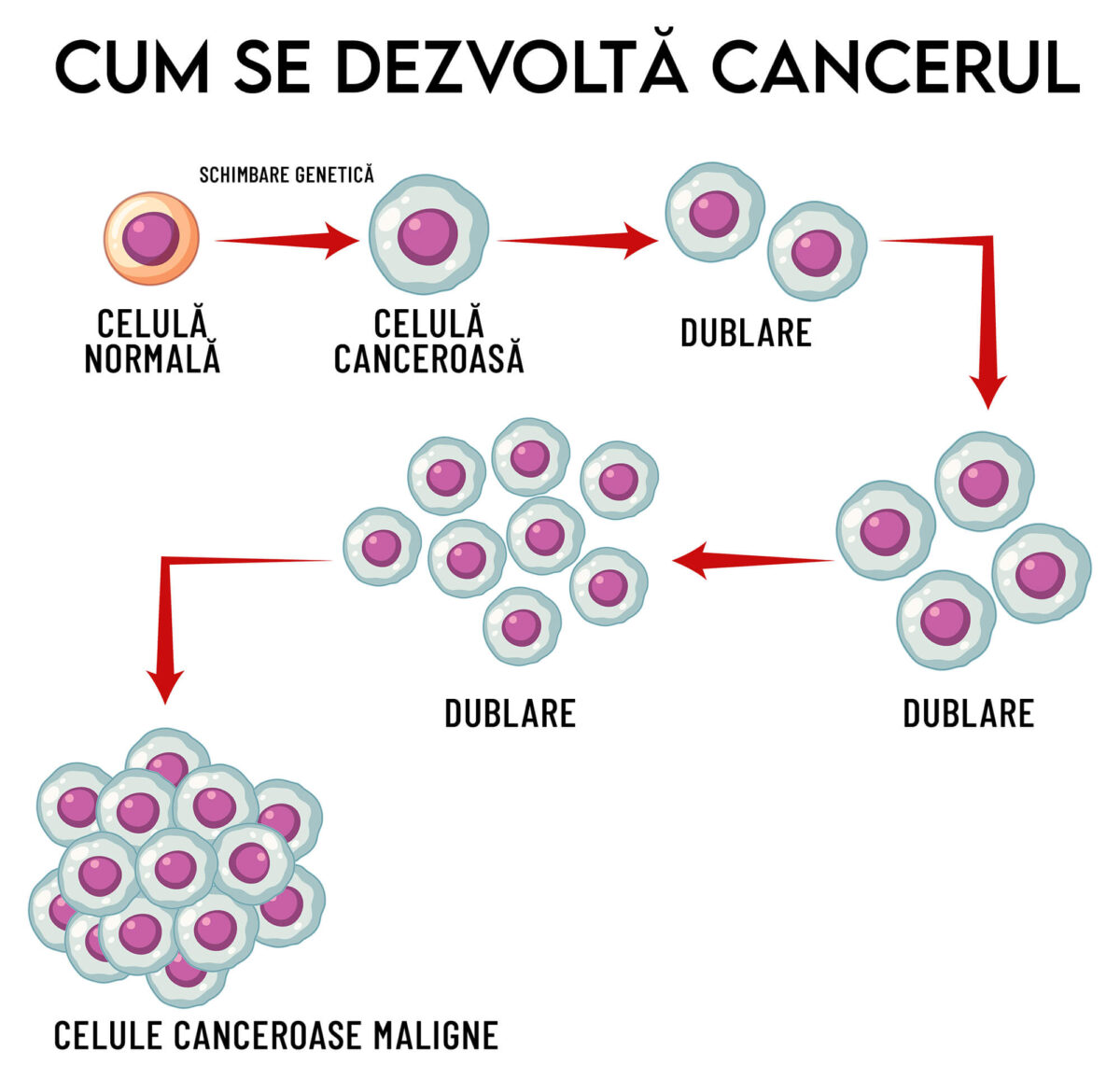 Carcinomul bazocelular, cel mai comun și frecvent tip de cancer de ...